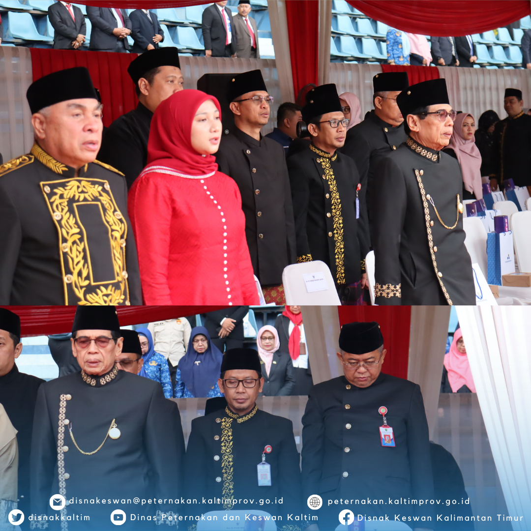 Dinas Peternakan & Kesehatan Hewan Provinsi Kalimantan Timur - Galeri Foto