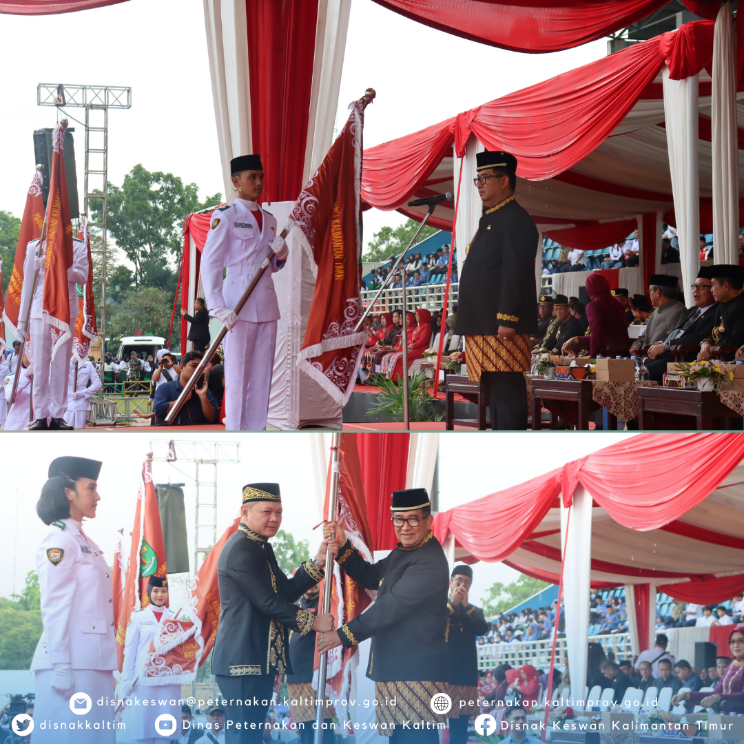 Dinas Peternakan & Kesehatan Hewan Provinsi Kalimantan Timur - Galeri Foto