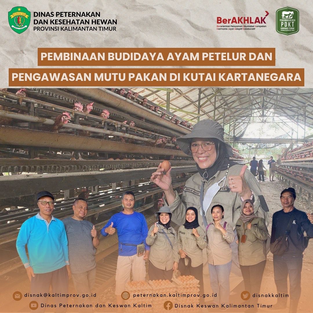 Dinas Peternakan & Kesehatan Hewan Provinsi Kalimantan Timur - Galeri Foto
